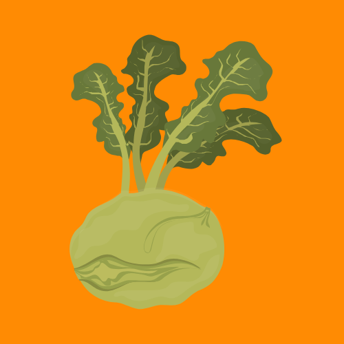 Whole Marketplace – Wylde Market